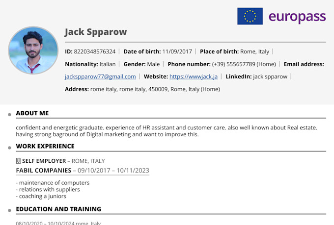 Build your europass cv in official format and deliver it as pdf by Artbykamil | Fiverr